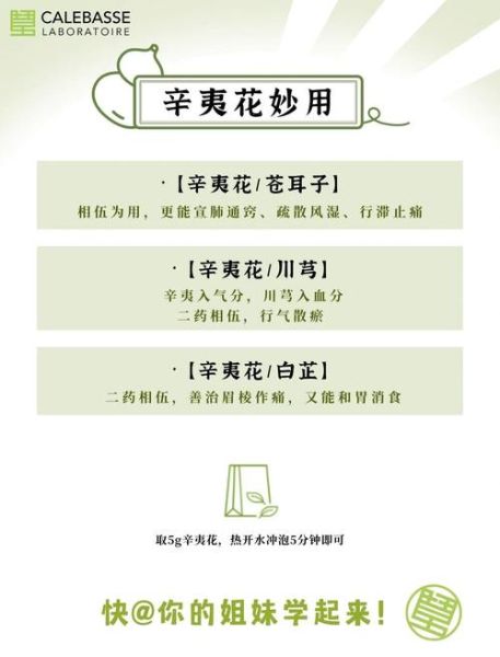 辛夷花有什么功效_辛夷鼻炎怎么用-第1张图片-山城妙识 辛夷花有什么功效_辛夷鼻炎怎么用-第1张图片-山城妙识