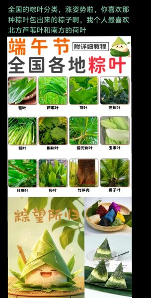 用来包粽子的叶子叫什么_粽叶种类区别-第1张图片-山城妙识
