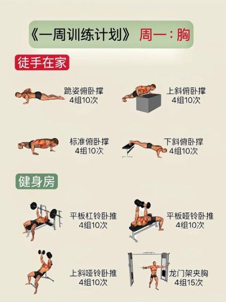 骨架小的男生怎么长壮_骨架小增肌训练计划-第1张图片-山城妙识 骨架小的男生怎么长壮_骨架小增肌训练计划-第1张图片-山城妙识