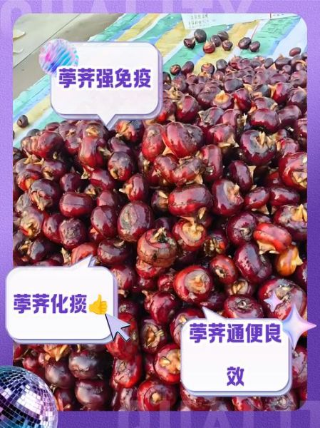 荸荠的功效与作用_孕妇可以吃荸荠吗-第1张图片-山城妙识