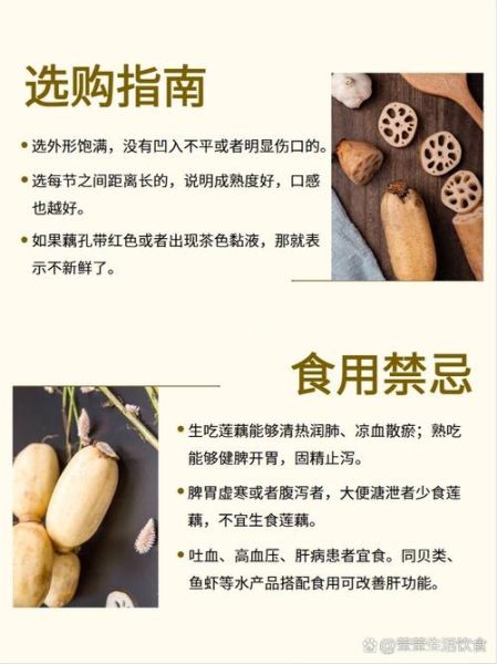 莲藕的功效与作用_莲藕的营养价值有哪些-第3张图片-山城妙识 莲藕的功效与作用_莲藕的营养价值有哪些-第3张图片-山城妙识