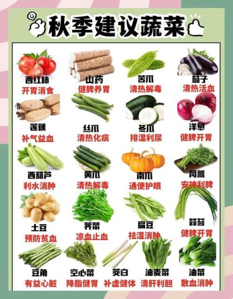 秋天吃什么蔬菜好_秋季养生菜谱推荐-第1张图片-山城妙识