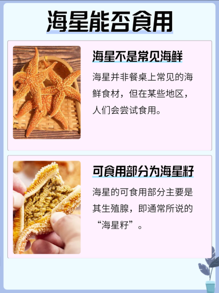 海星怎么吃_海星可以清蒸吗-第1张图片-山城妙识 海星怎么吃_海星可以清蒸吗-第1张图片-山城妙识