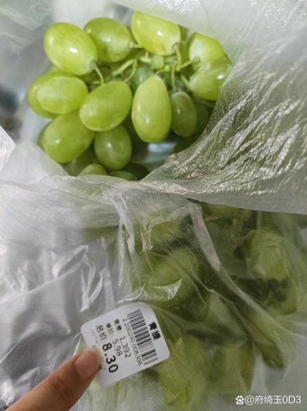 青提子多少钱一斤_青提子价格受哪些因素影响-第2张图片-山城妙识 青提子多少钱一斤_青提子价格受哪些因素影响-第2张图片-山城妙识