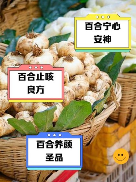 新鲜百合的功效与作用_新鲜百合怎么吃最好-第2张图片-山城妙识