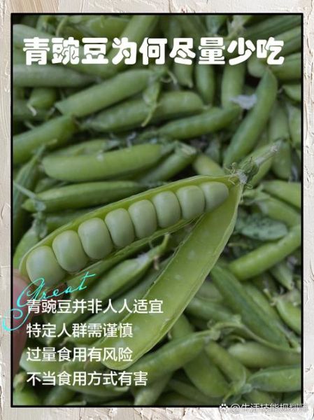 青豌豆的功效与作用禁忌_青豌豆什么人不能吃-第1张图片-山城妙识 青豌豆的功效与作用禁忌_青豌豆什么人不能吃-第1张图片-山城妙识