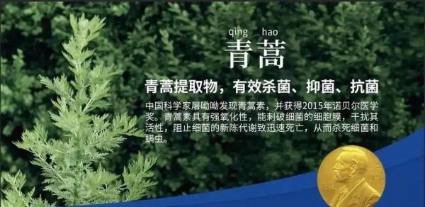 青蒿素的作用是什么_青蒿素能治疗哪些疾病-第2张图片-山城妙识 青蒿素的作用是什么_青蒿素能治疗哪些疾病-第2张图片-山城妙识