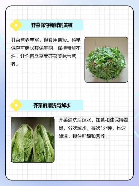 芥菜叶怎么保存_芥菜叶图片识别技巧-第2张图片-山城妙识 芥菜叶怎么保存_芥菜叶图片识别技巧-第2张图片-山城妙识