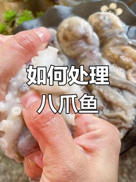 八爪鱼怎么清洗_八爪鱼焯水几分钟-第1张图片-山城妙识