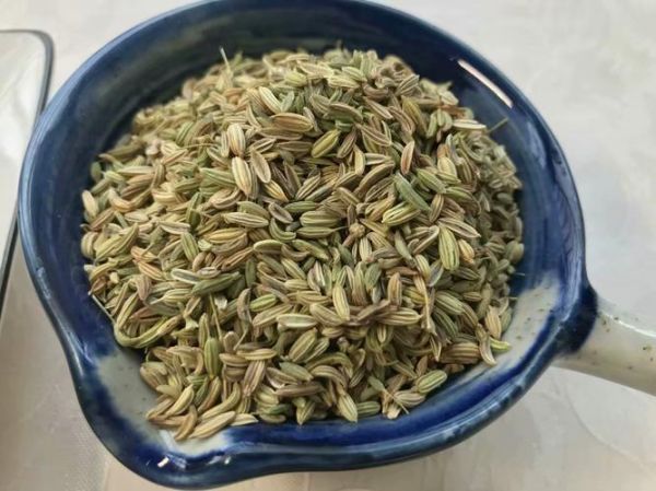 小茴香图片_香料小茴香长什么样-第3张图片-山城妙识 小茴香图片_香料小茴香长什么样-第3张图片-山城妙识