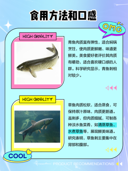 鲩鱼和草鱼一样吗_鲩鱼是不是草鱼-第3张图片-山城妙识 鲩鱼和草鱼一样吗_鲩鱼是不是草鱼-第3张图片-山城妙识