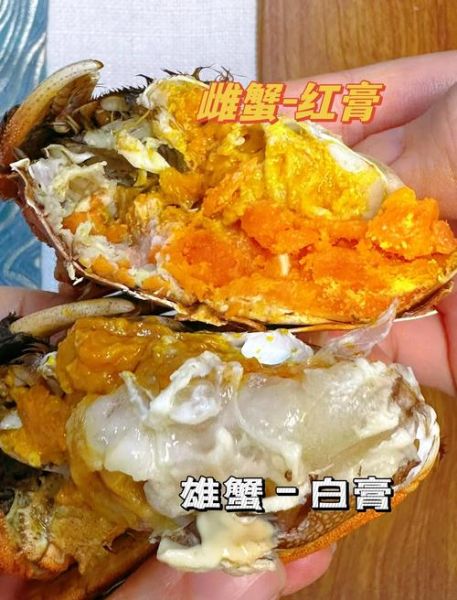 9月大闸蟹公的好还是母的好_公蟹母蟹区别-第3张图片-山城妙识 9月大闸蟹公的好还是母的好_公蟹母蟹区别-第3张图片-山城妙识