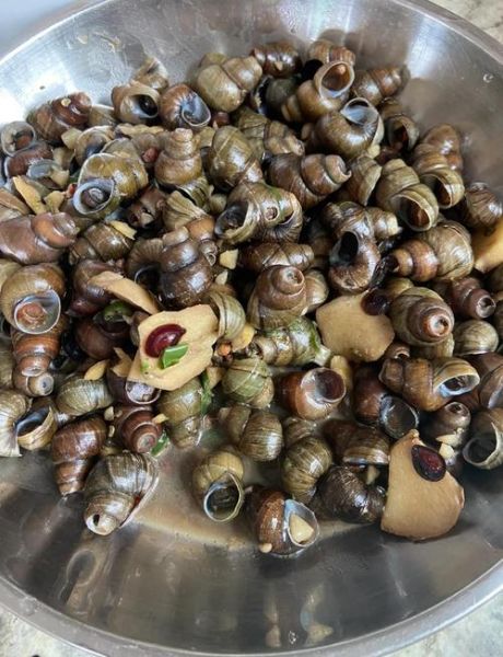 田螺煮多久才熟_田螺要焯水吗-第1张图片-山城妙识
