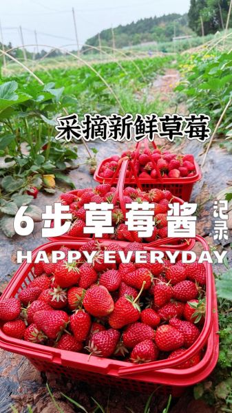 抗压草莓酱是什么_抗压草莓酱怎么吃-第3张图片-山城妙识 抗压草莓酱是什么_抗压草莓酱怎么吃-第3张图片-山城妙识