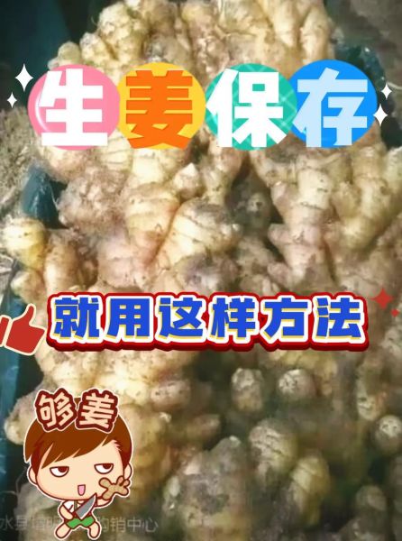生姜减肥法3天瘦10斤真的吗_生姜减肥具体怎么做-第3张图片-山城妙识 生姜减肥法3天瘦10斤真的吗_生姜减肥具体怎么做-第3张图片-山城妙识
