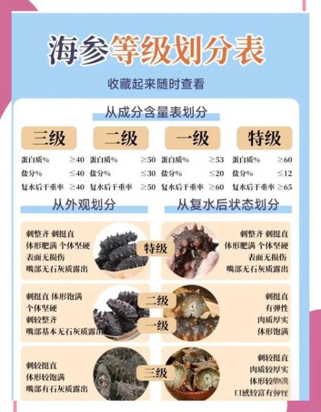 干海参价格多少钱一斤_干海参怎么挑选-第1张图片-山城妙识 干海参价格多少钱一斤_干海参怎么挑选-第1张图片-山城妙识