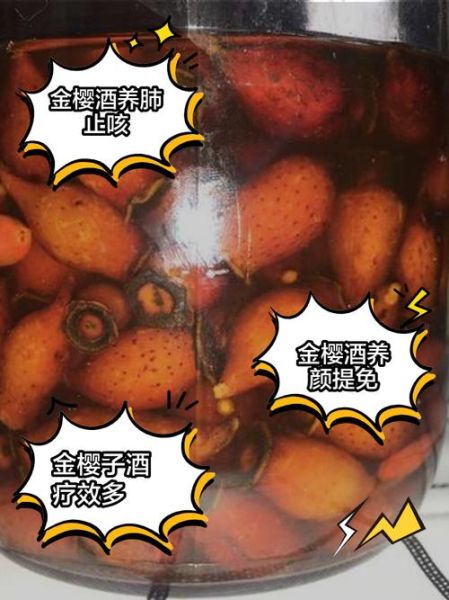 金樱子泡酒配方_金樱子功效与作用禁忌-第1张图片-山城妙识 金樱子泡酒配方_金樱子功效与作用禁忌-第1张图片-山城妙识