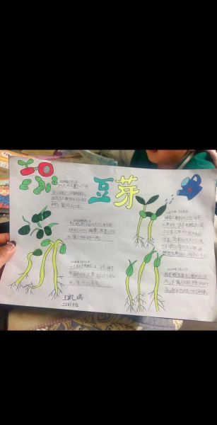 怎么生黄豆芽最简单的方法_黄豆芽发芽步骤-第3张图片-山城妙识 怎么生黄豆芽最简单的方法_黄豆芽发芽步骤-第3张图片-山城妙识