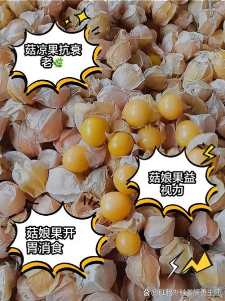 菇凉子是什么_菇凉子怎么吃-第1张图片-山城妙识