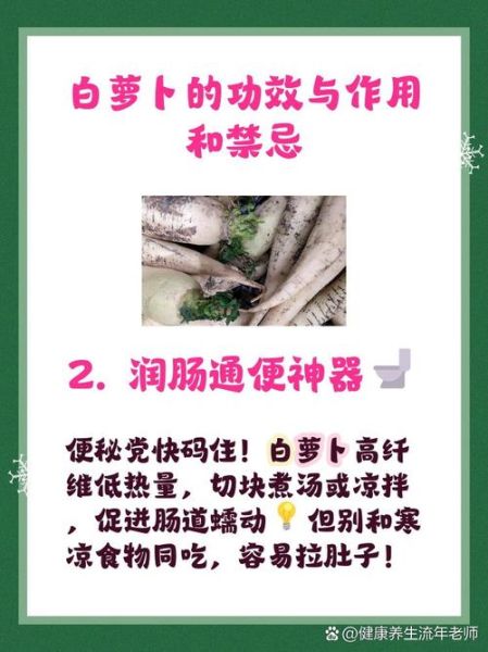 萝卜的功效与作用_萝卜的禁忌有哪些-第3张图片-山城妙识 萝卜的功效与作用_萝卜的禁忌有哪些-第3张图片-山城妙识
