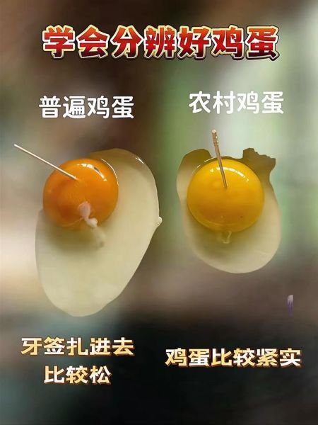 土鸡蛋真假怎么辨别_如何识别土鸡蛋的最佳方法-第2张图片-山城妙识 土鸡蛋真假怎么辨别_如何识别土鸡蛋的最佳方法-第2张图片-山城妙识