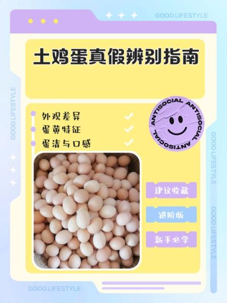 土鸡蛋真假怎么辨别_如何识别土鸡蛋的最佳方法-第1张图片-山城妙识 土鸡蛋真假怎么辨别_如何识别土鸡蛋的最佳方法-第1张图片-山城妙识