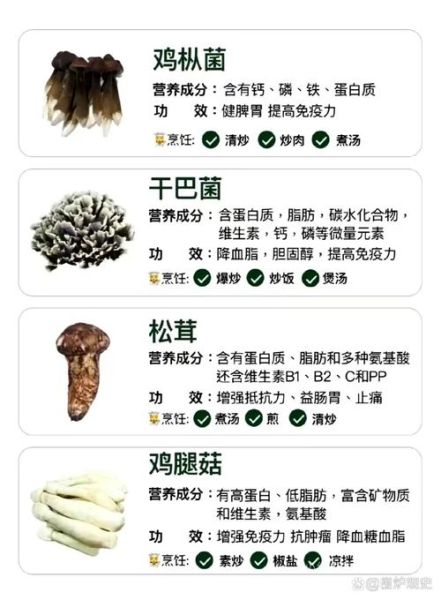 食用菌大全_哪些食用菌营养价值最高-第3张图片-山城妙识 食用菌大全_哪些食用菌营养价值最高-第3张图片-山城妙识