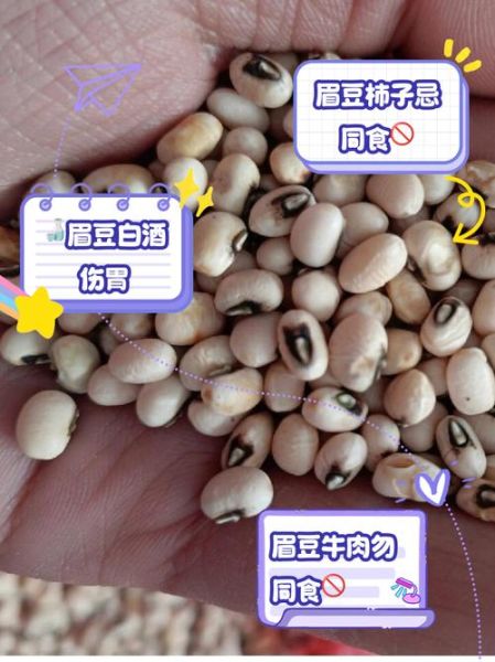 眉豆的功效与作用_眉豆怎么吃最养胃-第2张图片-山城妙识 眉豆的功效与作用_眉豆怎么吃最养胃-第2张图片-山城妙识