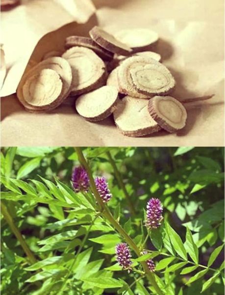 甘草图片长什么样_甘草图片真假怎么辨别-第1张图片-山城妙识 甘草图片长什么样_甘草图片真假怎么辨别-第1张图片-山城妙识