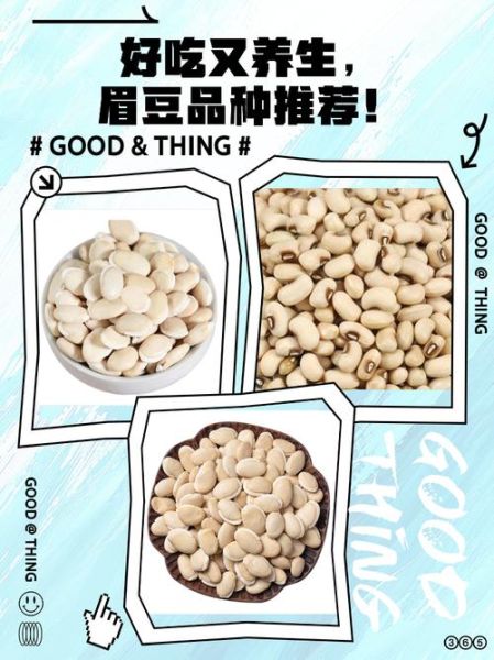 眉豆的功效与作用_眉豆怎么吃最养胃-第3张图片-山城妙识 眉豆的功效与作用_眉豆怎么吃最养胃-第3张图片-山城妙识
