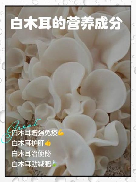 白木耳的功效与作用_白木耳怎么泡发才好吃-第1张图片-山城妙识 白木耳的功效与作用_白木耳怎么泡发才好吃-第1张图片-山城妙识