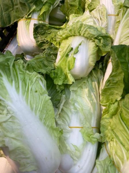 青菜有哪些_青菜种类大全-第3张图片-山城妙识 青菜有哪些_青菜种类大全-第3张图片-山城妙识