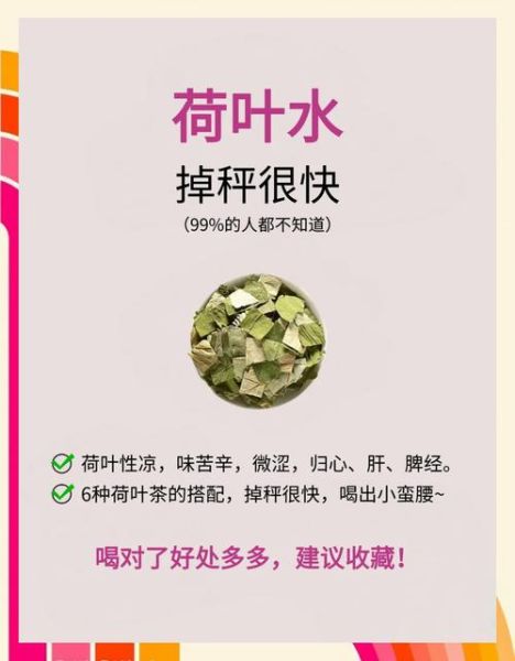 荷叶减肥茶配方_荷叶减肥茶多久见效-第3张图片-山城妙识