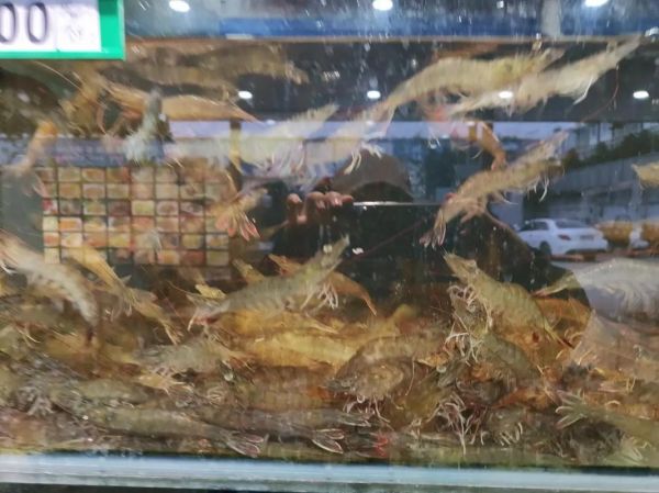 今日海鲜价格查询_海鲜价格网实时行情-第3张图片-山城妙识