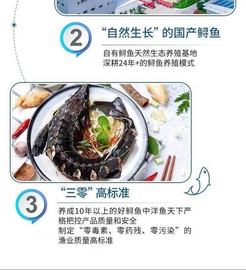 鲟鱼市场价多少钱一斤_鲟鱼价格影响因素-第1张图片-山城妙识 鲟鱼市场价多少钱一斤_鲟鱼价格影响因素-第1张图片-山城妙识