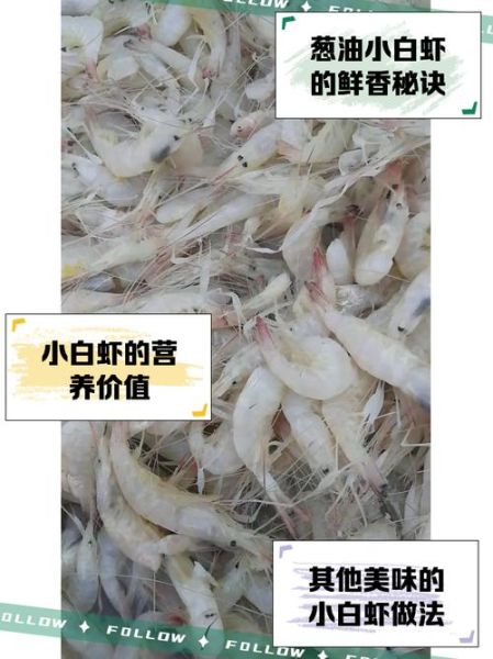 爆炒小白虾怎么做_小白虾要不要焯水-第1张图片-山城妙识 爆炒小白虾怎么做_小白虾要不要焯水-第1张图片-山城妙识