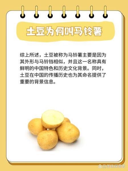 洋芋和土豆的区别_哪个是马铃薯-第3张图片-山城妙识 洋芋和土豆的区别_哪个是马铃薯-第3张图片-山城妙识