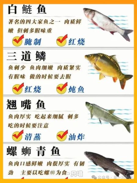 鱼菜名称大全_哪些鱼菜适合新手-第2张图片-山城妙识 鱼菜名称大全_哪些鱼菜适合新手-第2张图片-山城妙识