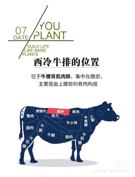 牛排怎么选部位_牛排怎么腌制才嫩-第3张图片-山城妙识 牛排怎么选部位_牛排怎么腌制才嫩-第3张图片-山城妙识