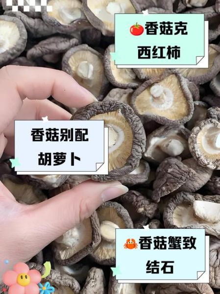 香菇不能和什么食物一起吃_香菇相克食物有哪些-第3张图片-山城妙识 香菇不能和什么食物一起吃_香菇相克食物有哪些-第3张图片-山城妙识