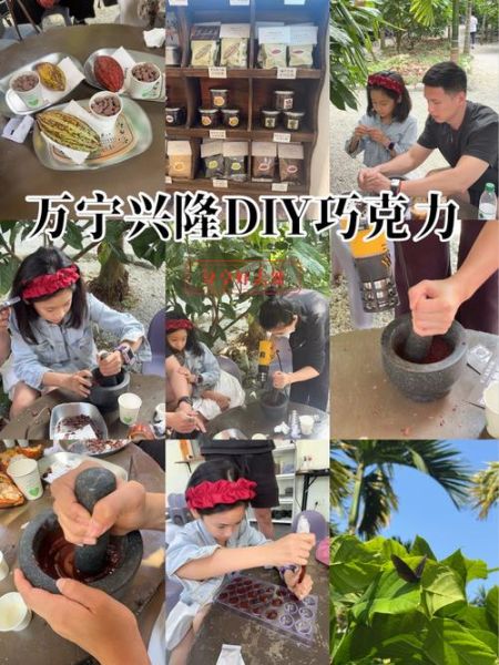 可可豆怎么变成巧克力_可可豆制作巧克力步骤-第2张图片-山城妙识