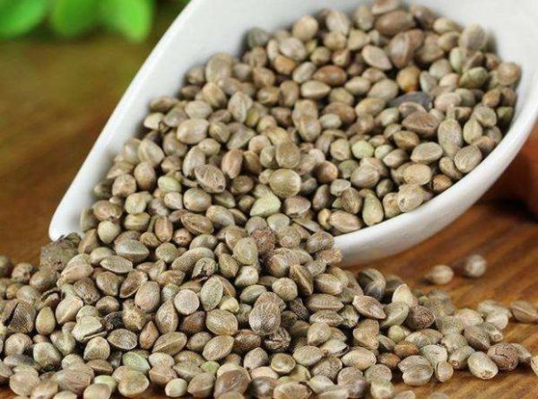 火麻仁是毒品吗_火麻仁合法吗-第3张图片-山城妙识 火麻仁是毒品吗_火麻仁合法吗-第3张图片-山城妙识