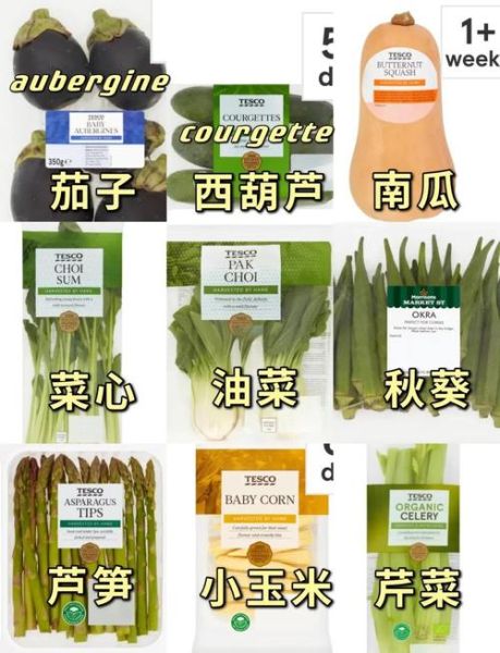 aubergine是什么蔬菜_aubergine和eggplant区别-第1张图片-山城妙识 aubergine是什么蔬菜_aubergine和eggplant区别-第1张图片-山城妙识