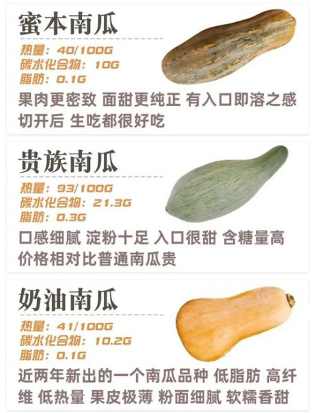 长条的南瓜叫什么_长南瓜品种名称大全-第1张图片-山城妙识