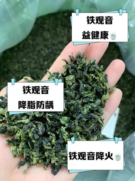 铁观音茶有什么好处_铁观音茶适合什么人喝-第2张图片-山城妙识