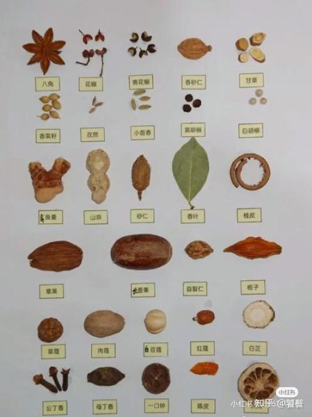 54种香料有哪些_如何快速识别54种香料图解-第3张图片-山城妙识