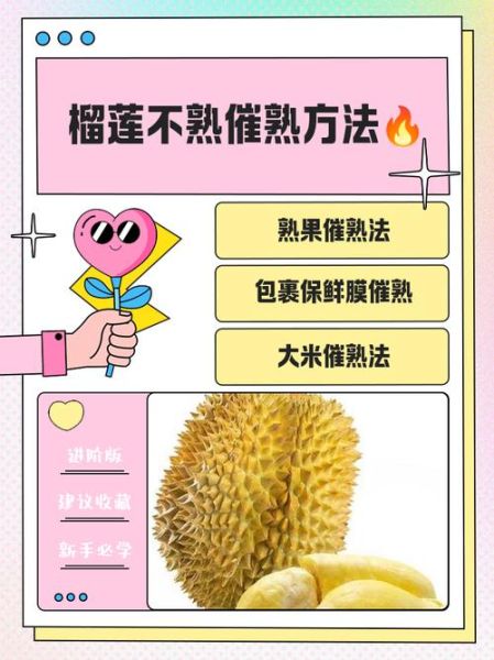 榴莲剥出来没熟怎么办_如何补救生榴莲-第2张图片-山城妙识 榴莲剥出来没熟怎么办_如何补救生榴莲-第2张图片-山城妙识