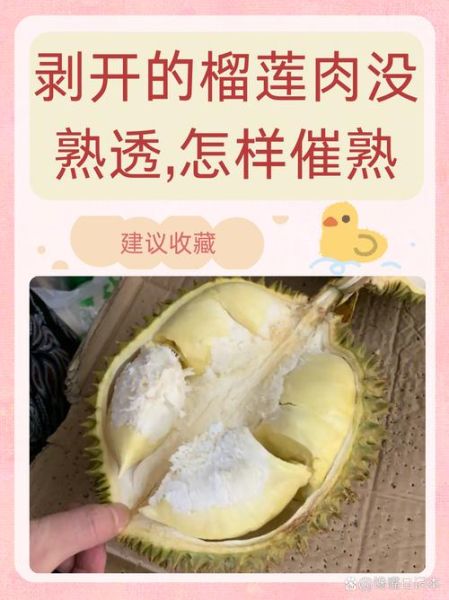 榴莲剥出来没熟怎么办_如何补救生榴莲-第3张图片-山城妙识 榴莲剥出来没熟怎么办_如何补救生榴莲-第3张图片-山城妙识