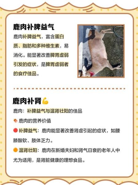 吃鹿肉有什么好处_鹿肉营养价值高吗-第1张图片-山城妙识 吃鹿肉有什么好处_鹿肉营养价值高吗-第1张图片-山城妙识