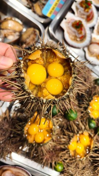 海胆直接蒸可以吗_海胆蒸多久才熟-第1张图片-山城妙识 海胆直接蒸可以吗_海胆蒸多久才熟-第1张图片-山城妙识